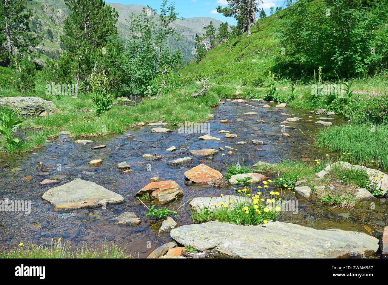 Green field stream power hi-res stock photography and images - Alamy