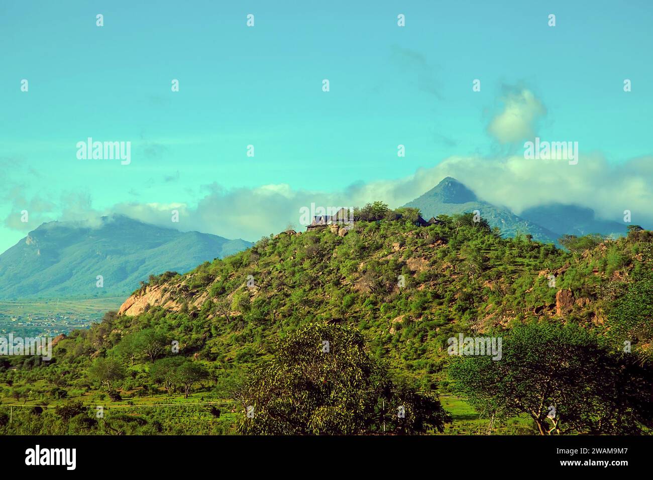 beautiful african landscape in Kenya. Tsavo National Park. Trees are ...