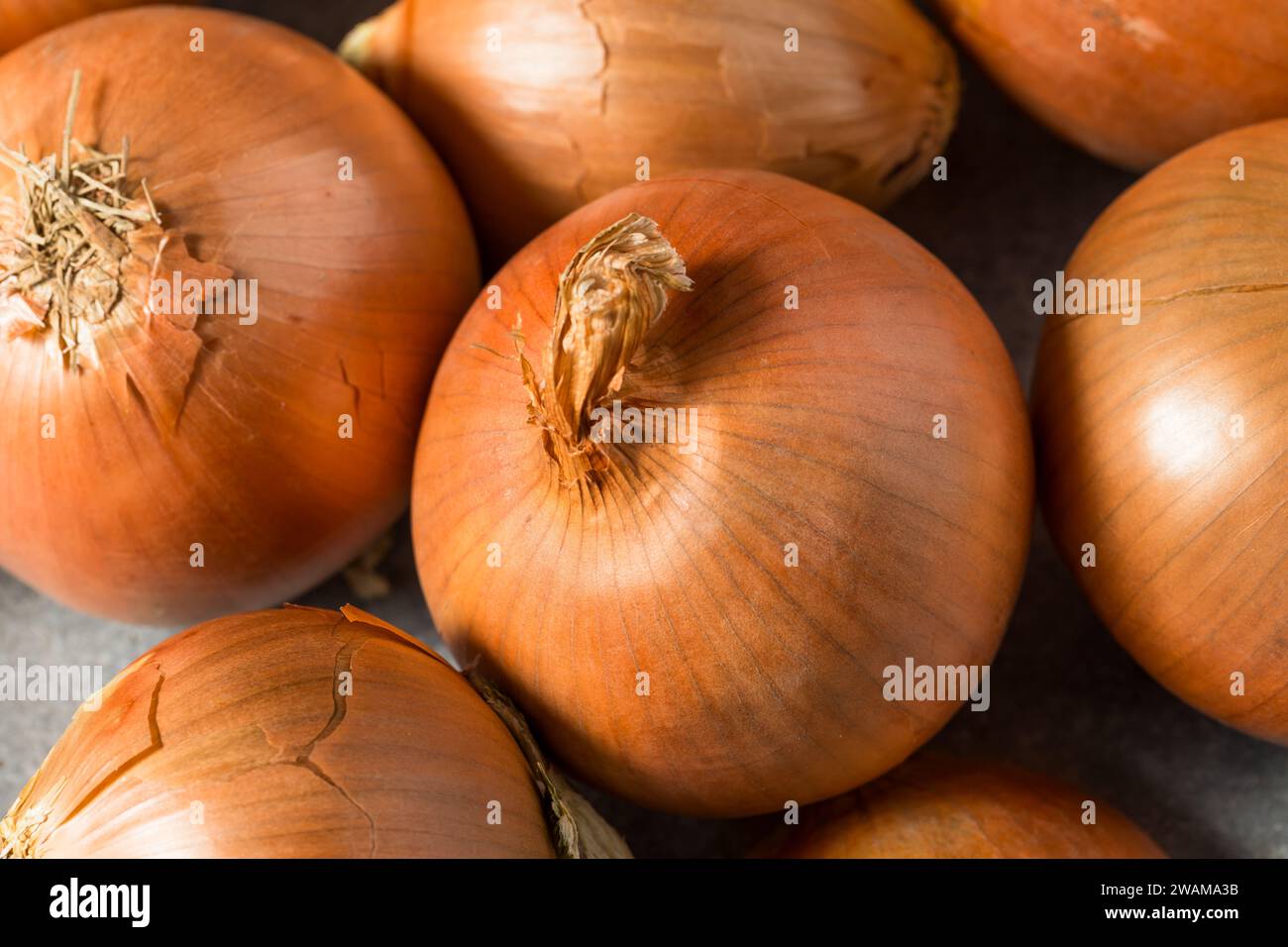 Brown onion onions hi-res stock photography and images - Alamy
