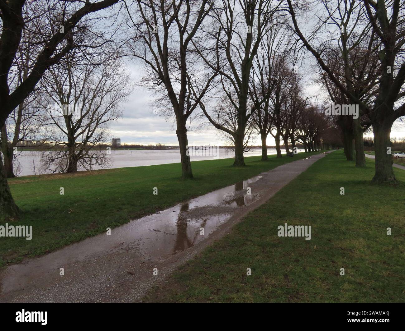 Blick durch die Deichallee in Neuss auf den Rheinstrom mit Hochwasser ...