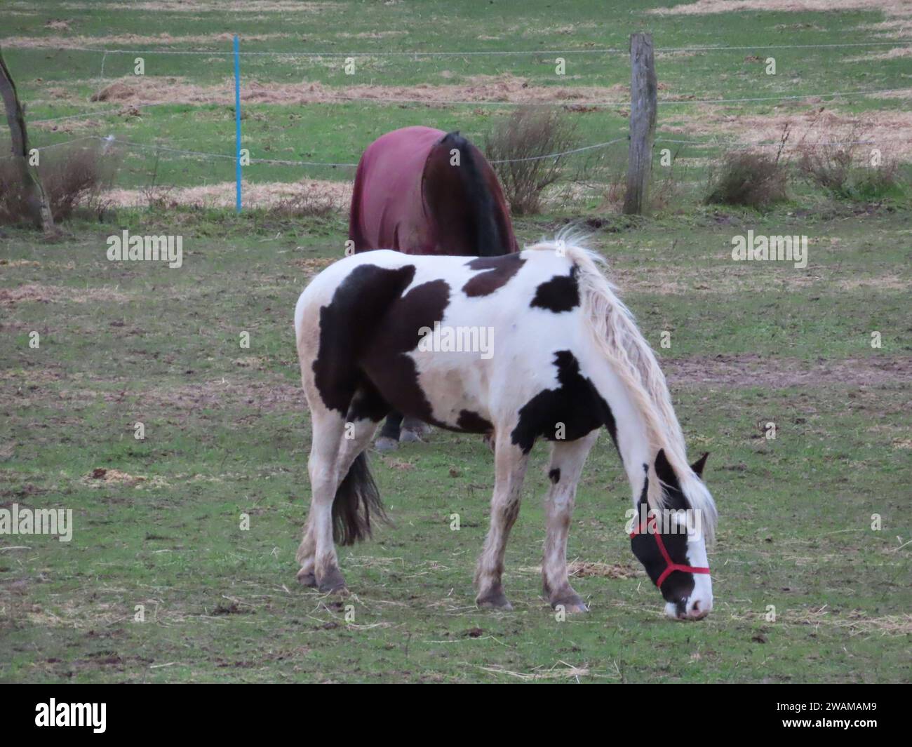 Einstallung hi-res stock photography and images - Alamy