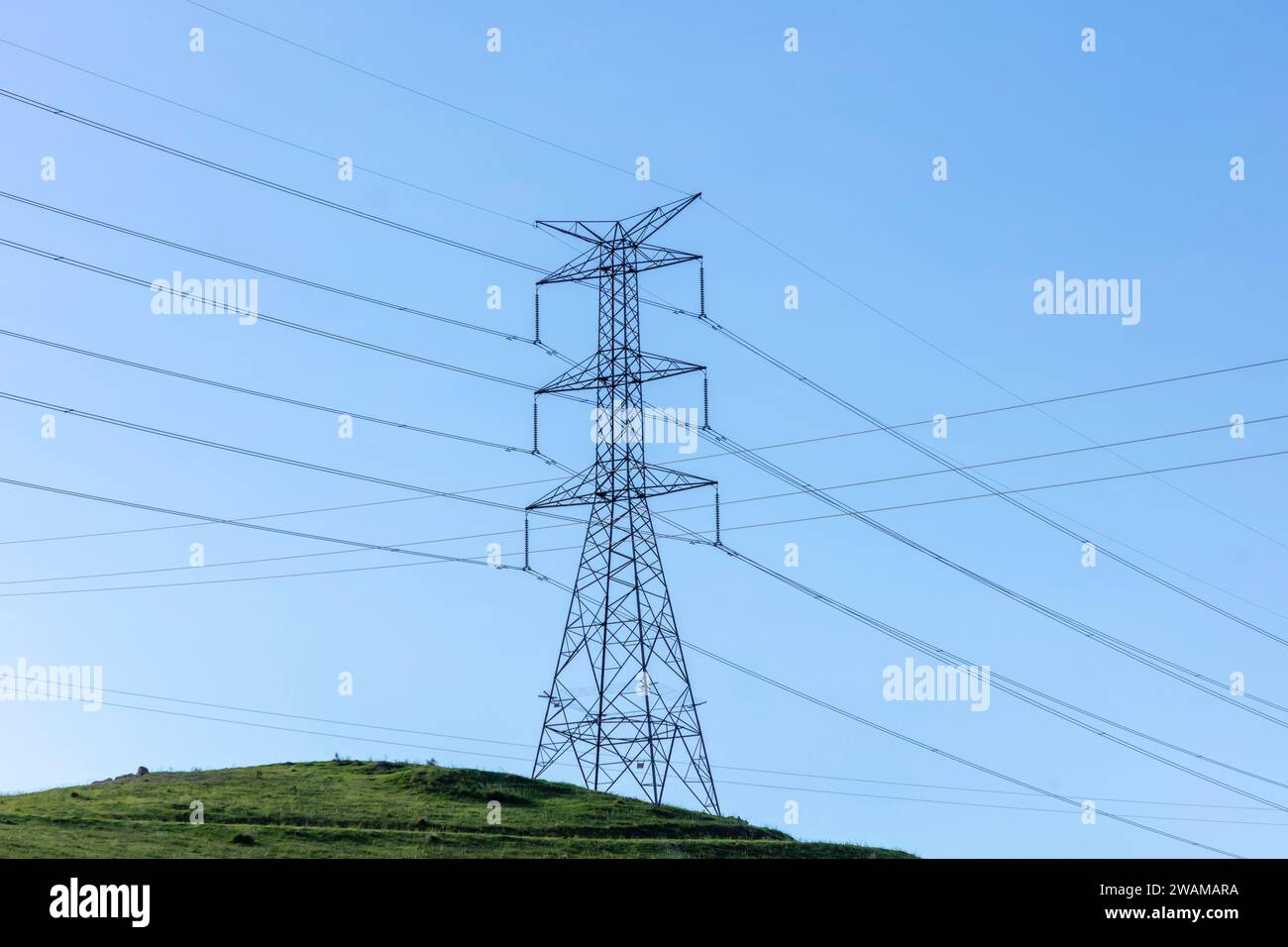 Photograph of a large telecommunications tower located on a green and ...