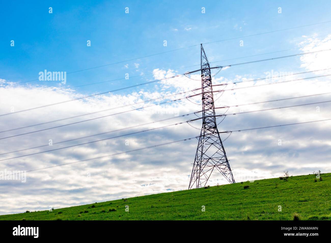 Photograph of a large telecommunications tower located on a green and ...
