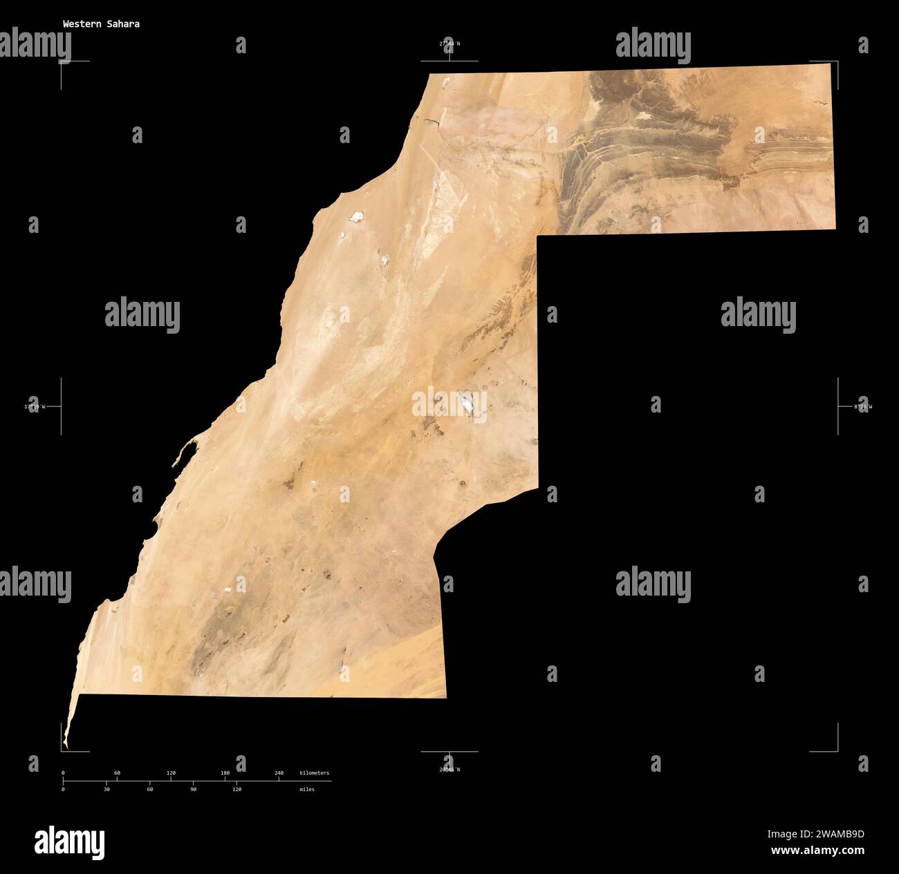 Shape of a low resolution satellite map of the Western Sahara, with ...