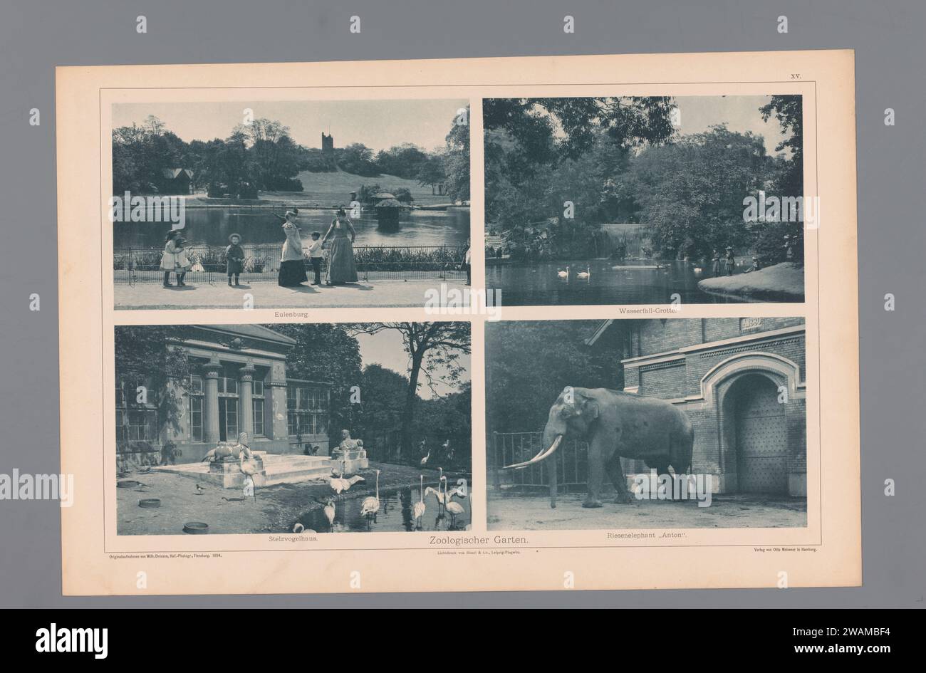 Four faces on the Zoo van Hamburg, Wilhelm Dreesen, 1894 ...