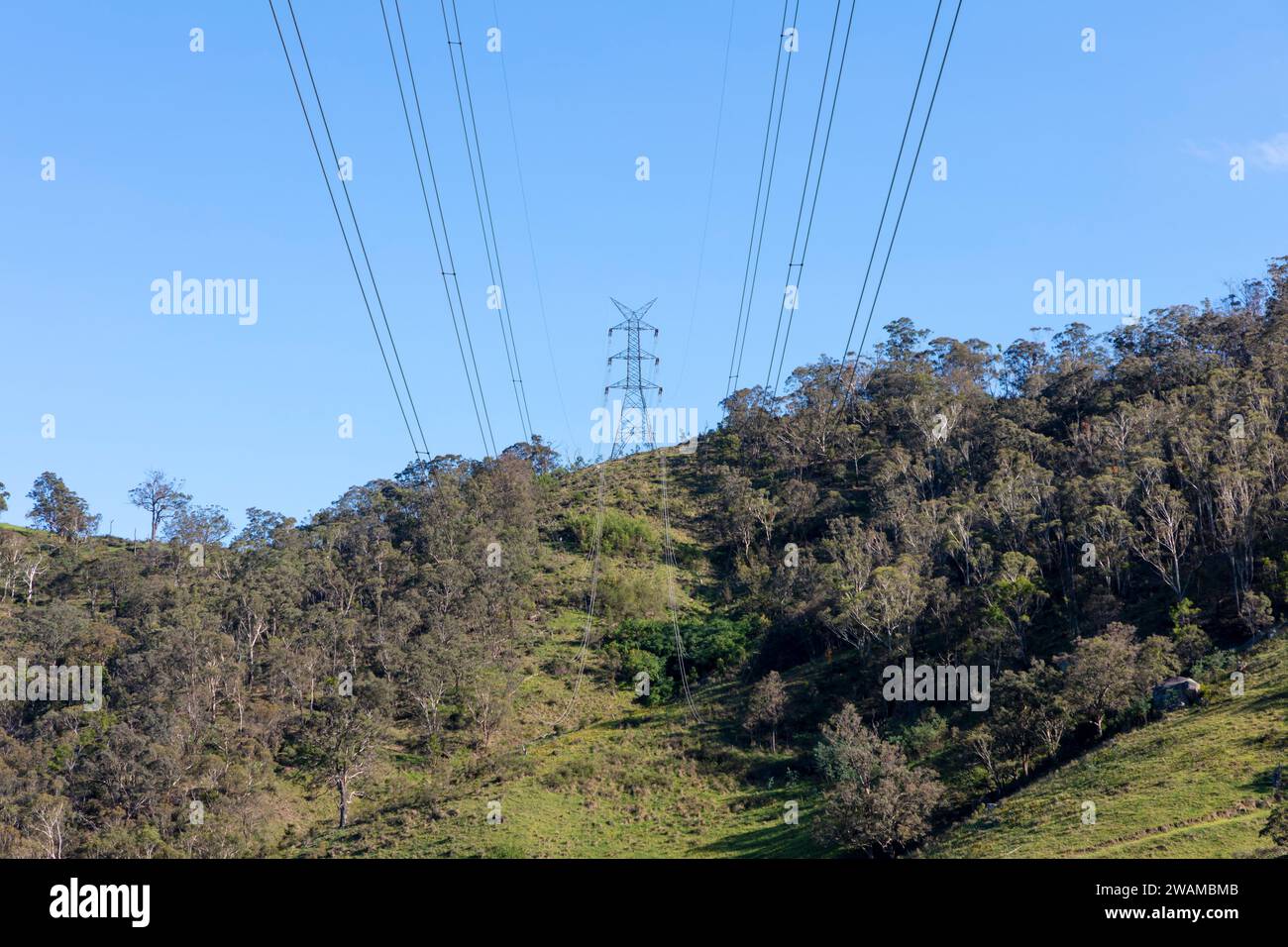 Photograph of a large telecommunications tower located on a green and ...