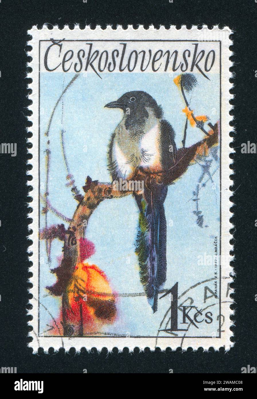 CZECHOSLOVAKIA - CIRCA 1972: stamp printed by Czechoslovakia, shows ...