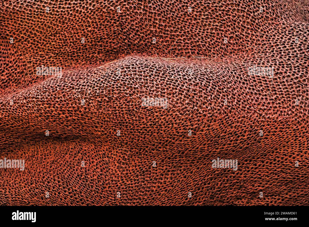 abstract embossed brown modern background Stock Photo - Alamy