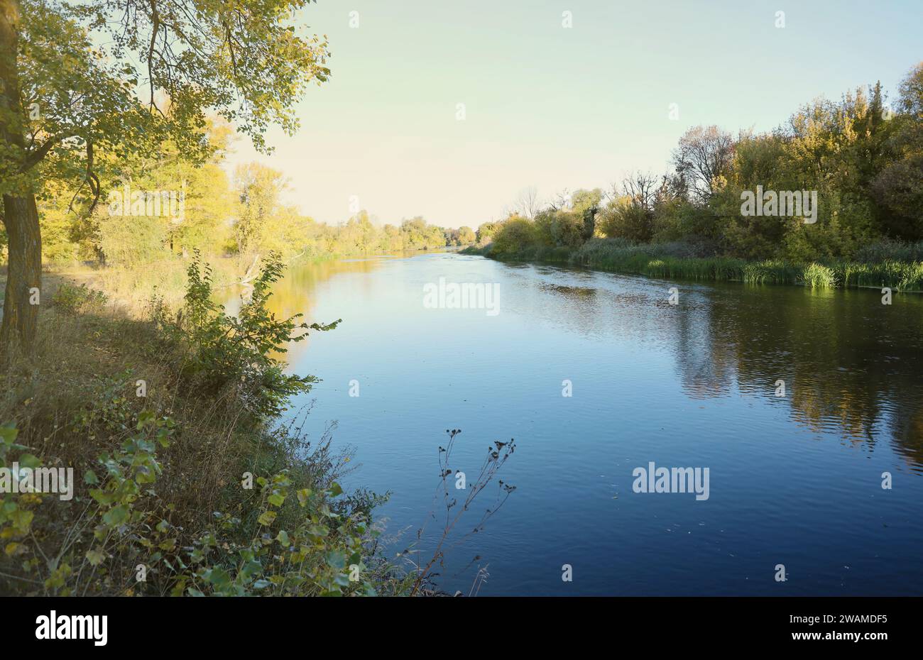 Beautiful autumn landscape with lake and multicoloral trees ...