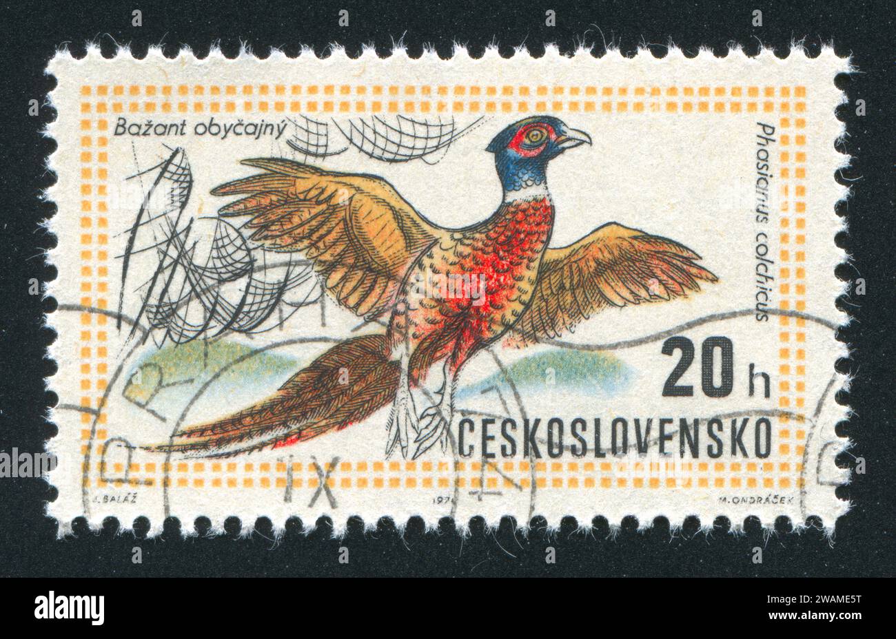 CZECHOSLOVAKIA - CIRCA 1971: stamp printed by Czechoslovakia, shows ...