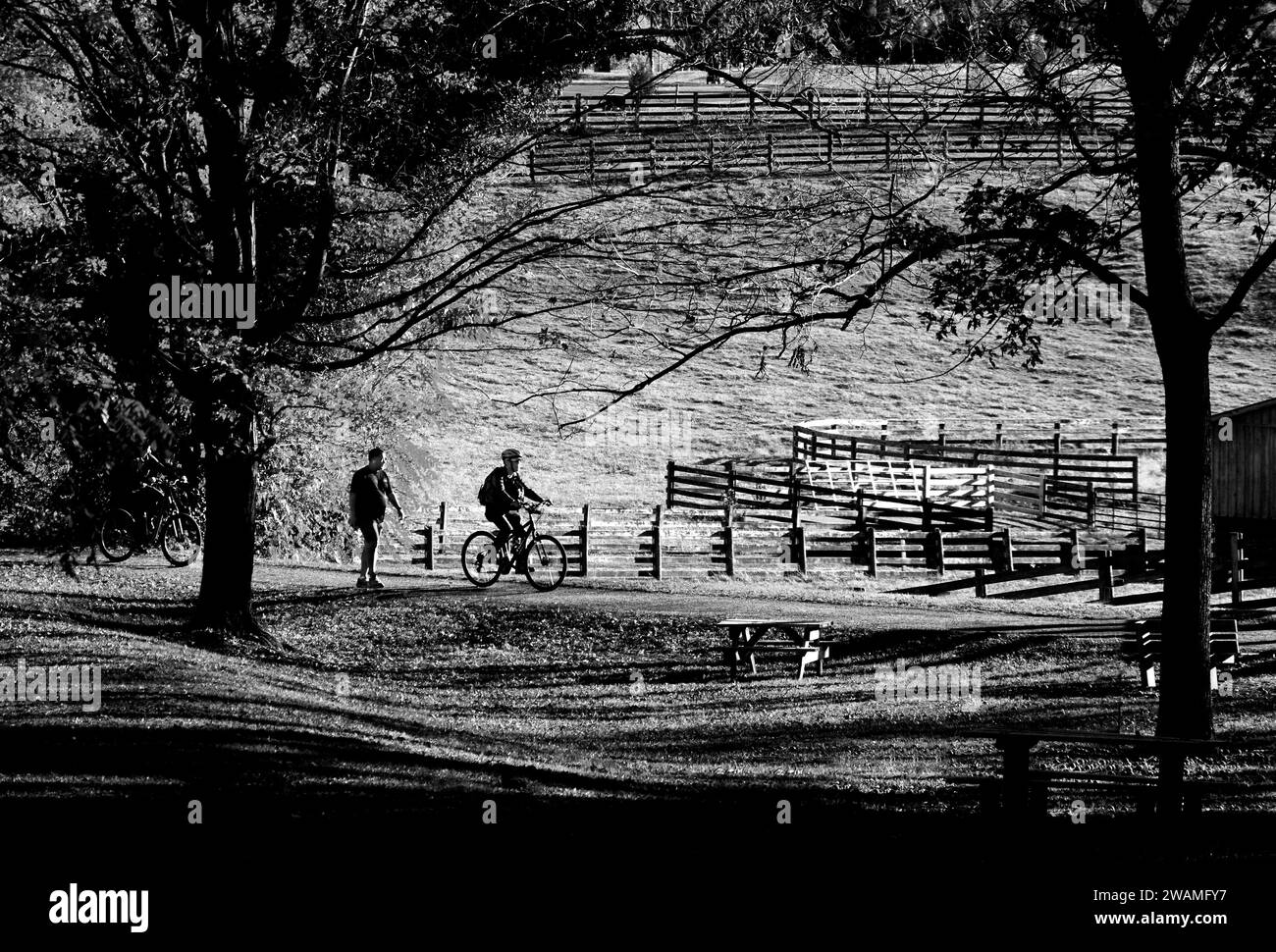 Bicycle riders and walkers enjoy a warm fall afternoon on the popular ...