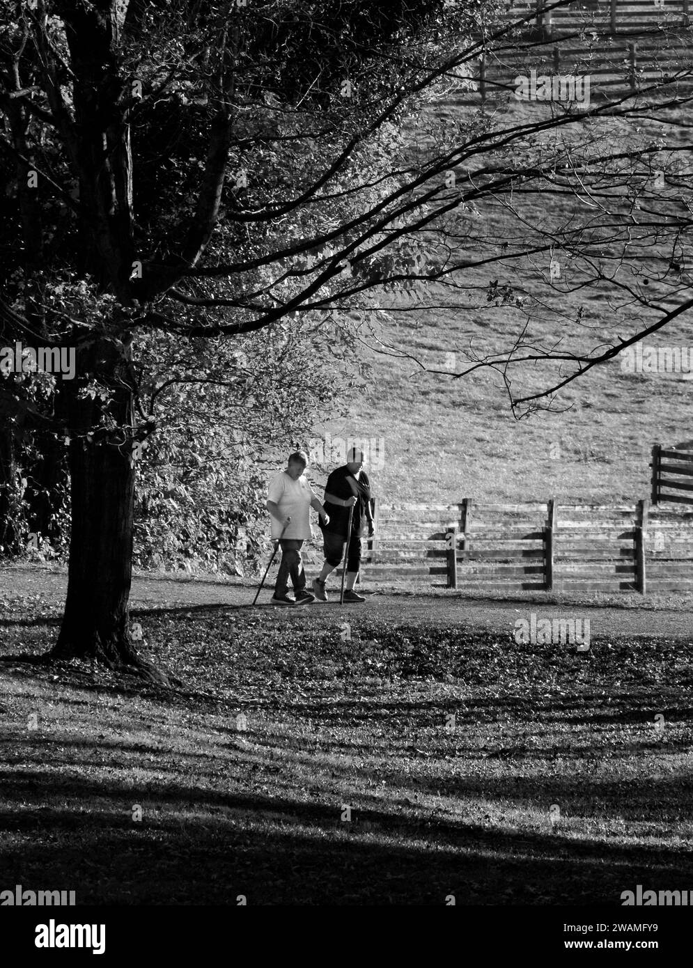 Two women using canes walk along the popular Virginia Creeper Trail in ...