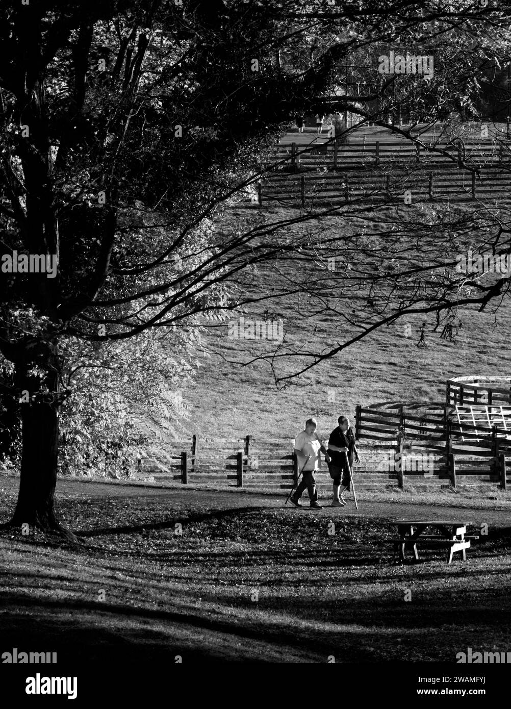 Two women using canes walk along the popular Virginia Creeper Trail in ...