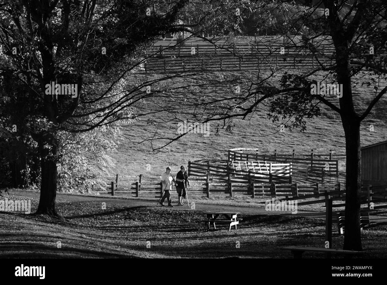 Two women using canes walk along the popular Virginia Creeper Trail in ...