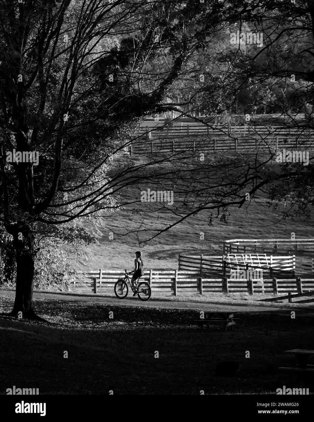 Bicycle riders and walkers enjoy a warm fall afternoon on the popular ...
