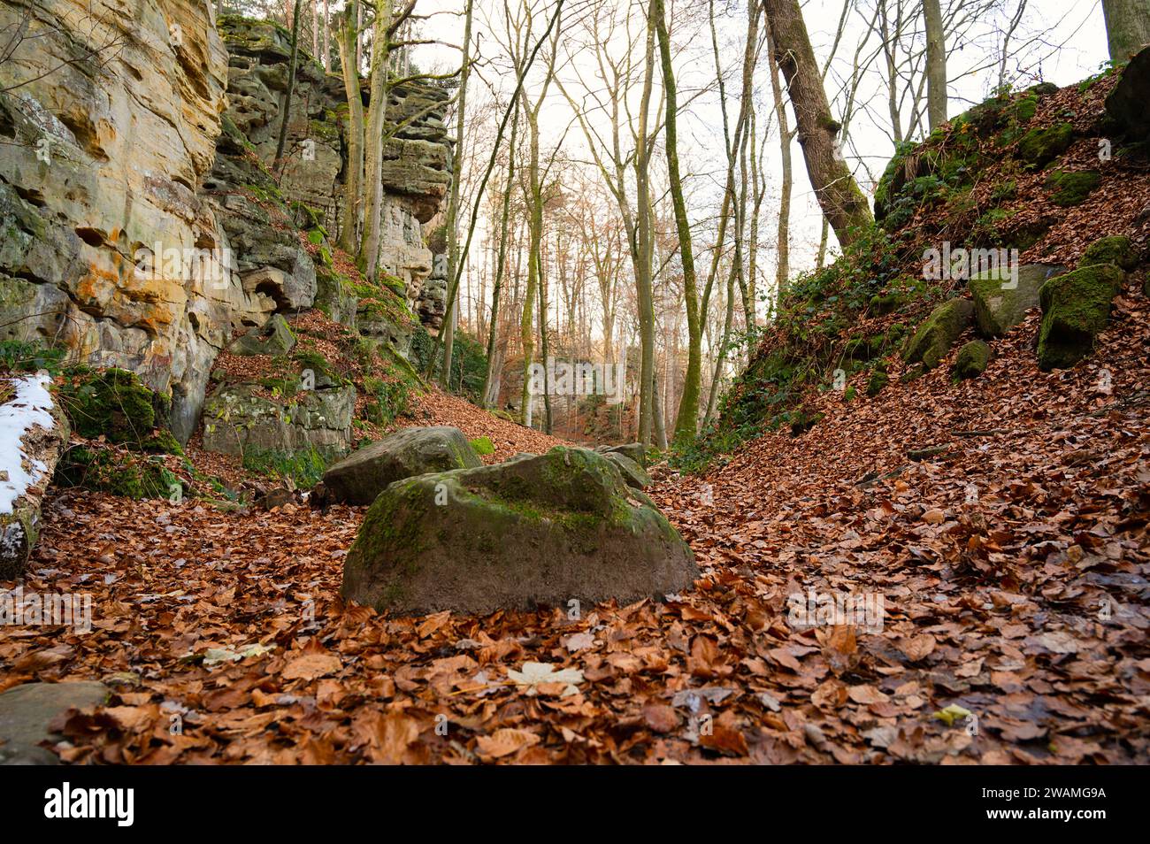 Devil Gorge at the Eifel, Teufelsschlucht with mighty boulders and ...
