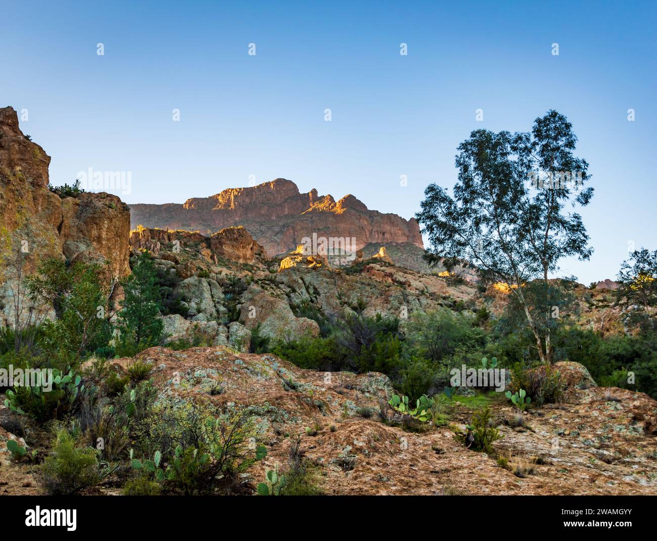View of mountains at Boyce Thompson Arboretum, Superior, Arizona ...