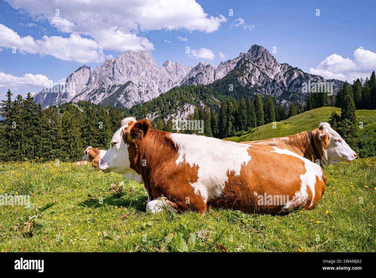 Naturparkaufstieg hi-res stock photography and images - Alamy