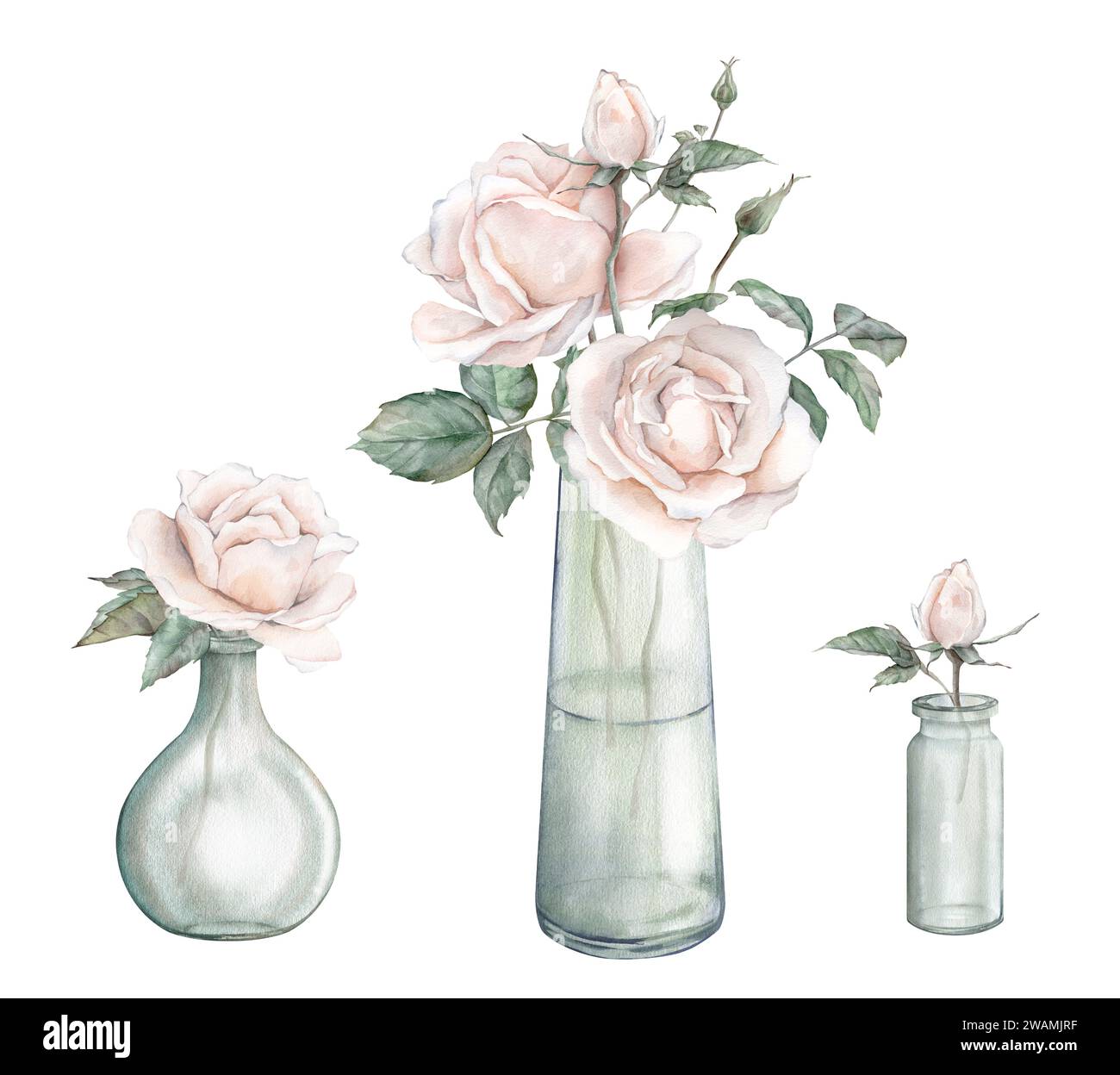 Watercolor set composition from peach fuzz color roses and green leaves ...