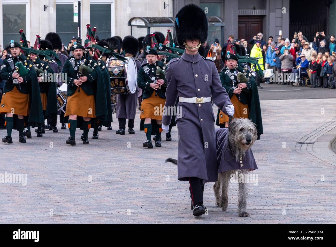 Number 12 company irish guards hi-res stock photography and images - Alamy