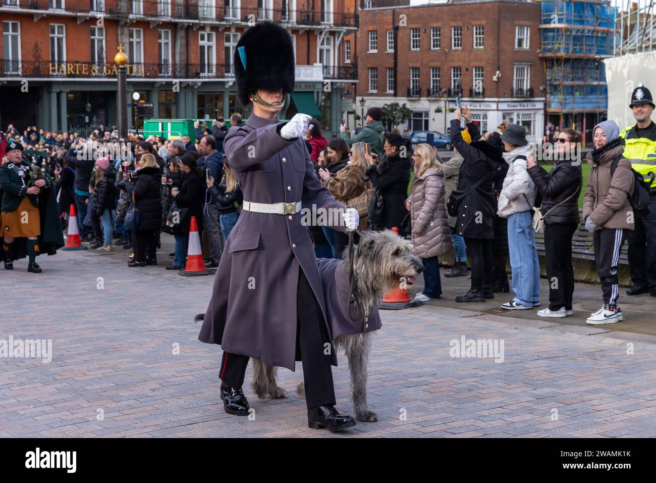 London, UK. 4th January, 2024. Irish wolfhound Turlough Mór, the ...