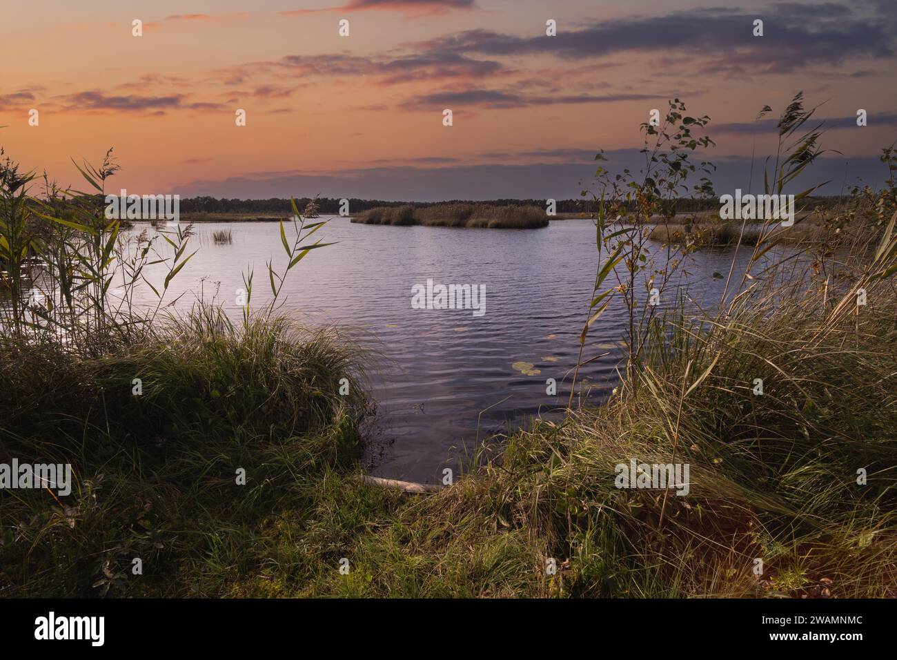 Kollasaare hi-res stock photography and images - Alamy