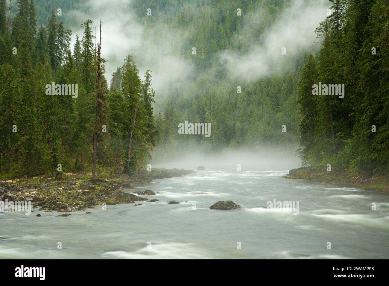 Selway Wild and Scenic River, Nez Perce National Forest, Idaho Stock ...