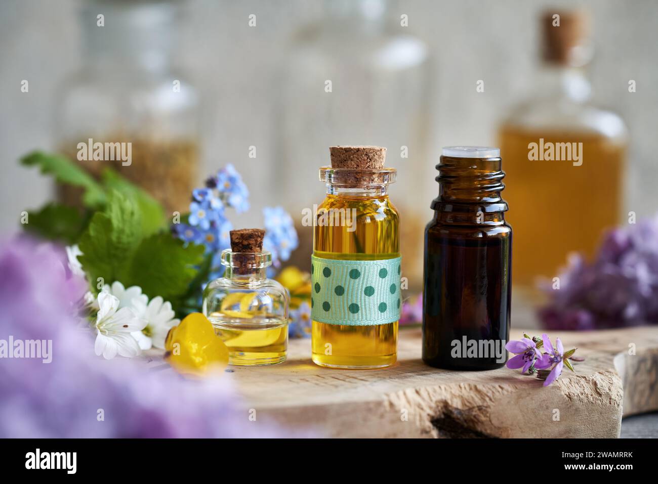 Selection of essential oils with fresh flowers and plants Stock Photo ...