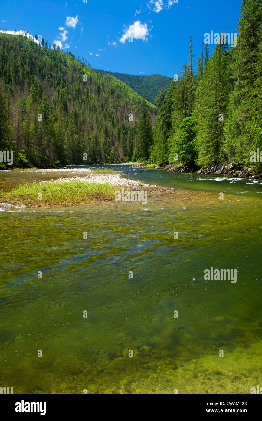 Selway River from Selway River Trail, Selway Wild and Scenic River, Nez ...