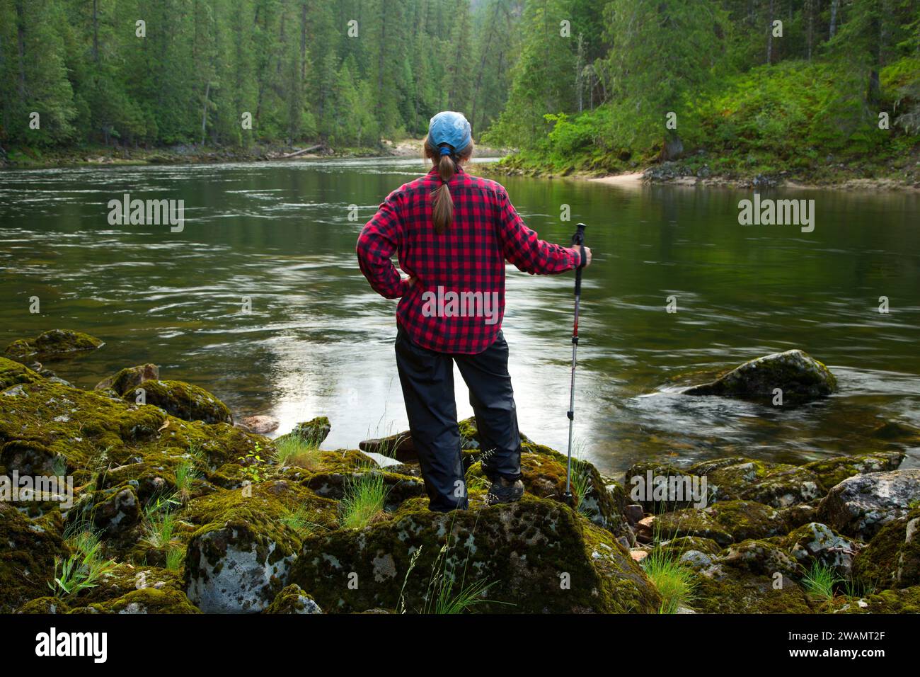 Hiker along Selway River on Selway River Trail, Selway Wild and Scenic ...
