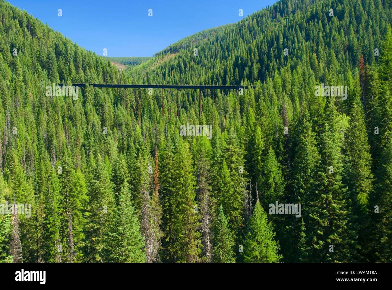 Kelly Creek Trestle, Hiawatha Rail Trail, St Joe National Forest, Idaho ...