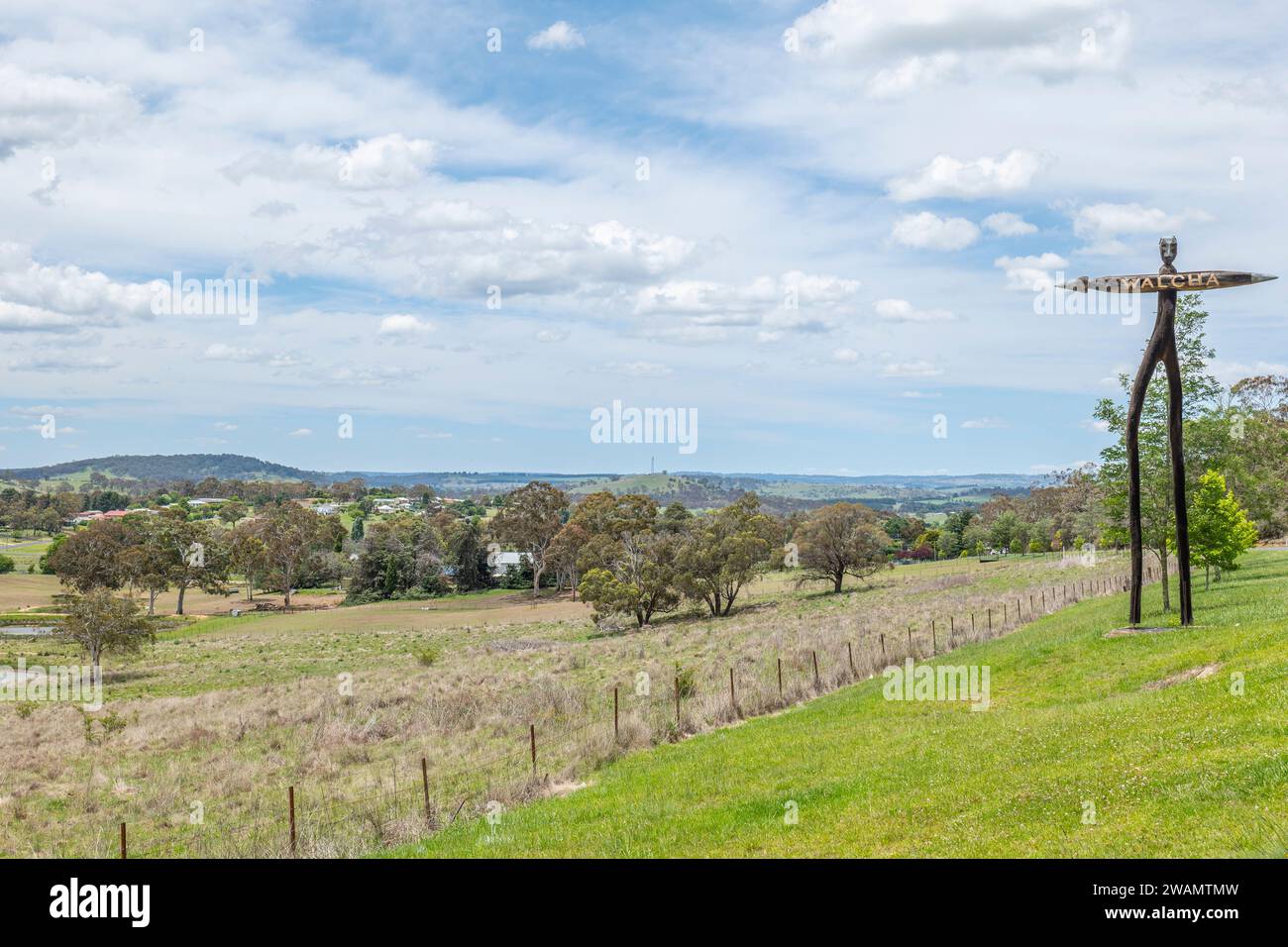 The tallowwood sculpture titled 'True born native man' by Nigel White ...