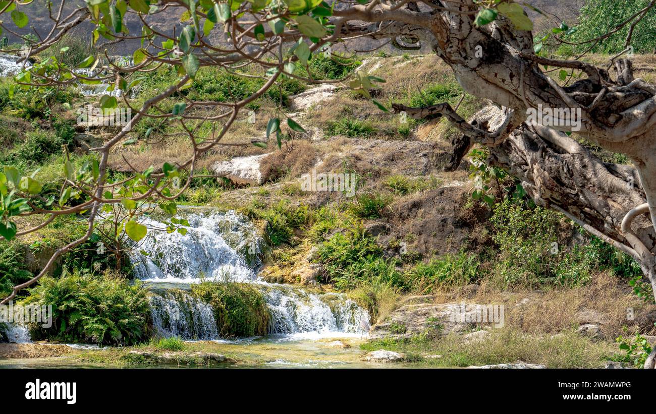 Wadi Darbat ,salalah- mini Waterfalls at Wadi Darbat in the Dhofar ...