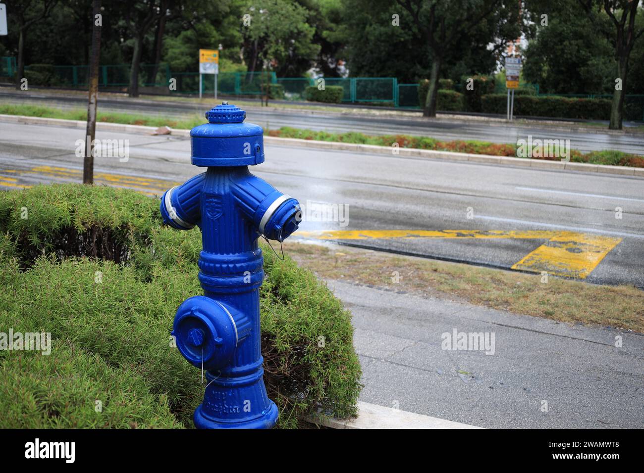 Blue metal fire hydrant on city street Stock Photo - Alamy