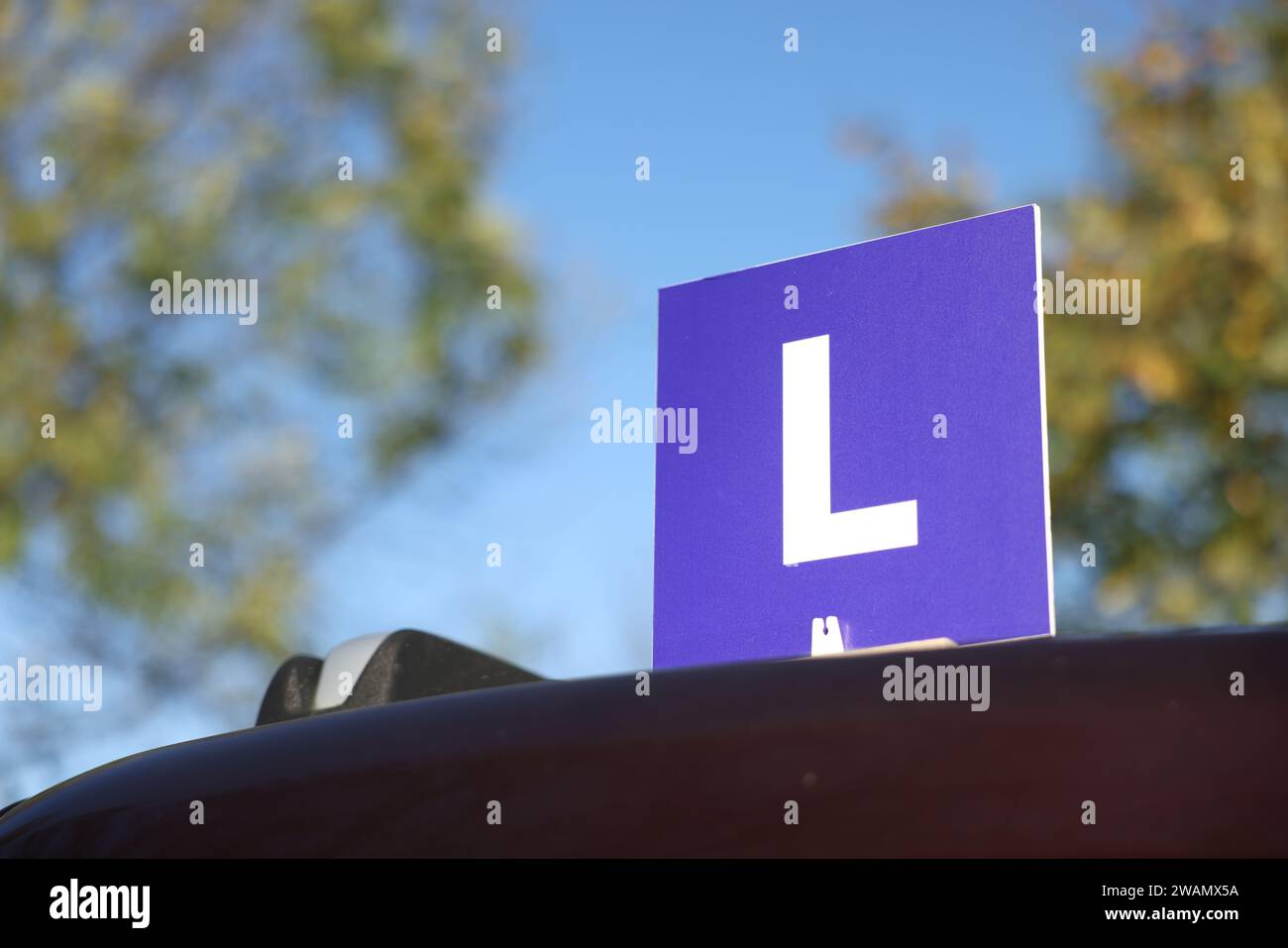 L-plate on car outdoors, low angle view with space for text. Driving ...