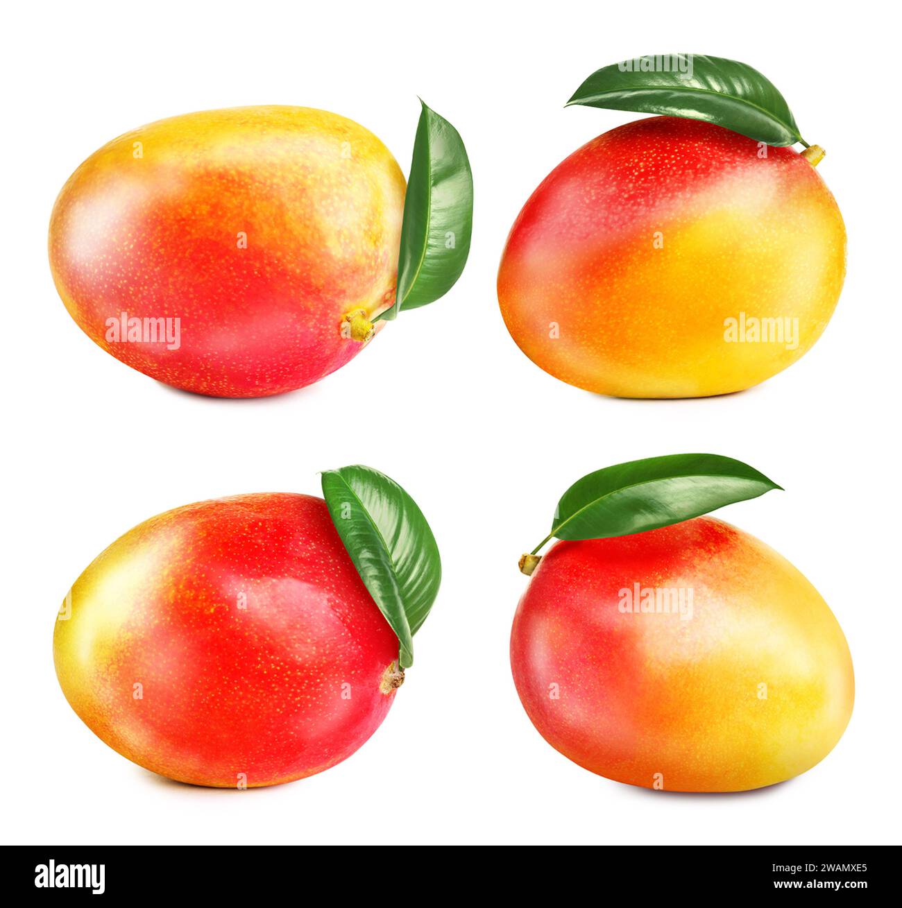 Mango fruits green leaves hi-res stock photography and images - Alamy