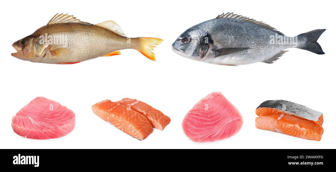 Different types of raw fish isolated on white, set Stock Photo - Alamy
