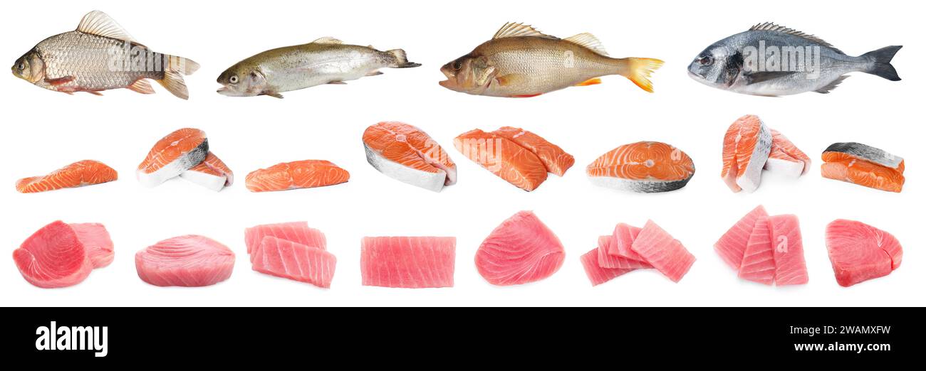 Different types meat fresh raw Cut Out Stock Images & Pictures - Alamy