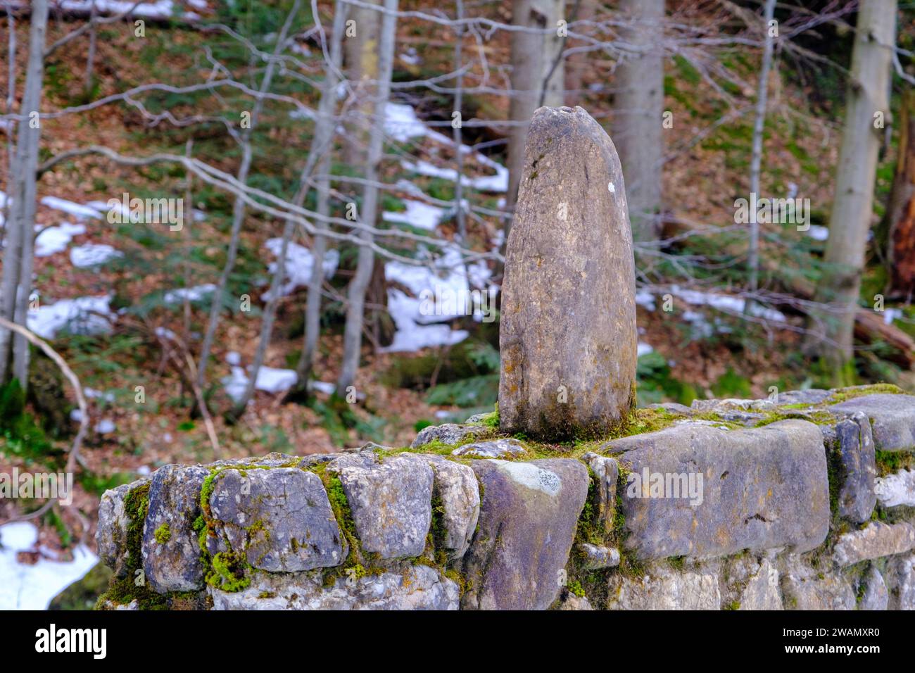Old stone fence in the forest. One stone is placed vertically on the ...