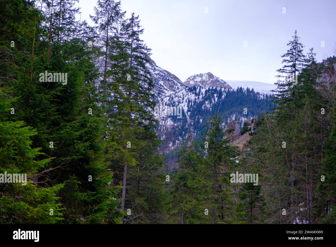 Tatra mountains. Winter view of the High Tatra Mountains. mountain ...