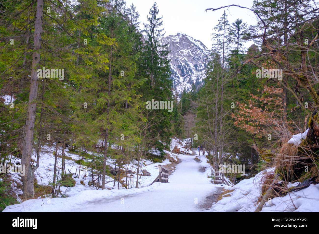 Tatra mountains. Winter view of the High Tatra Mountains. mountain ...