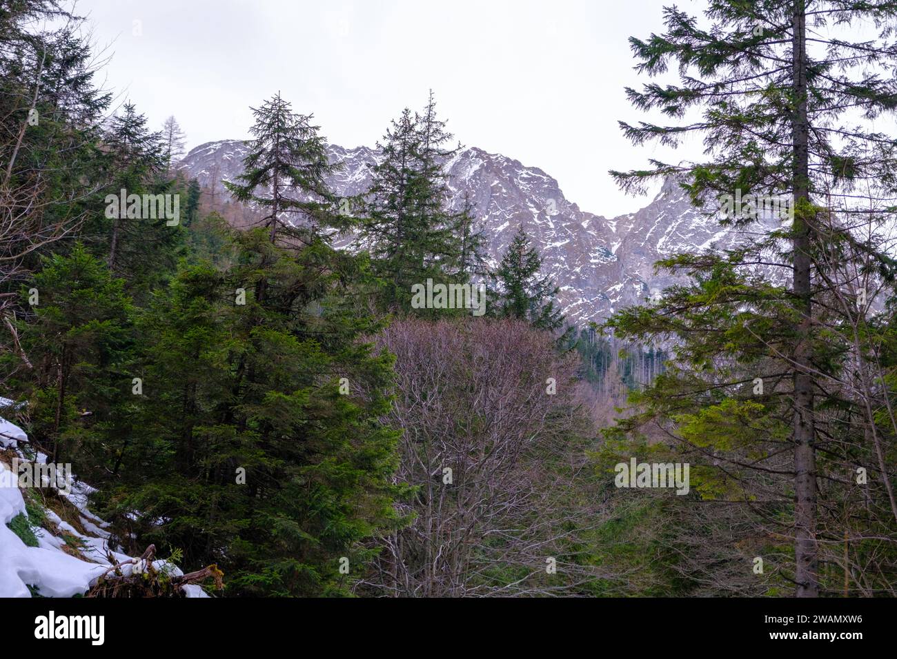 Tatra mountains. Winter view of the High Tatra Mountains. mountain ...