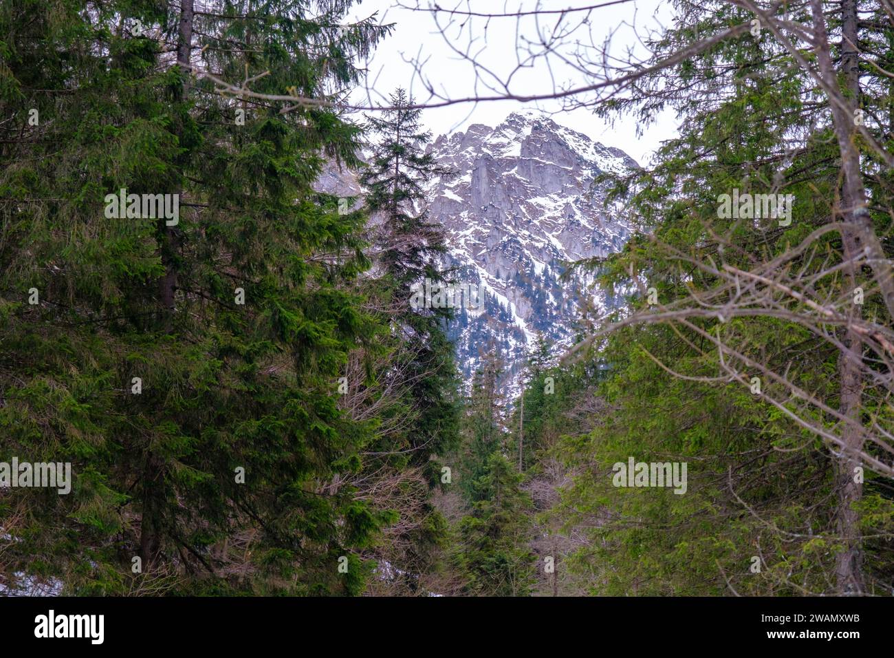 Tatra mountains. Winter view of the High Tatra Mountains. mountain ...