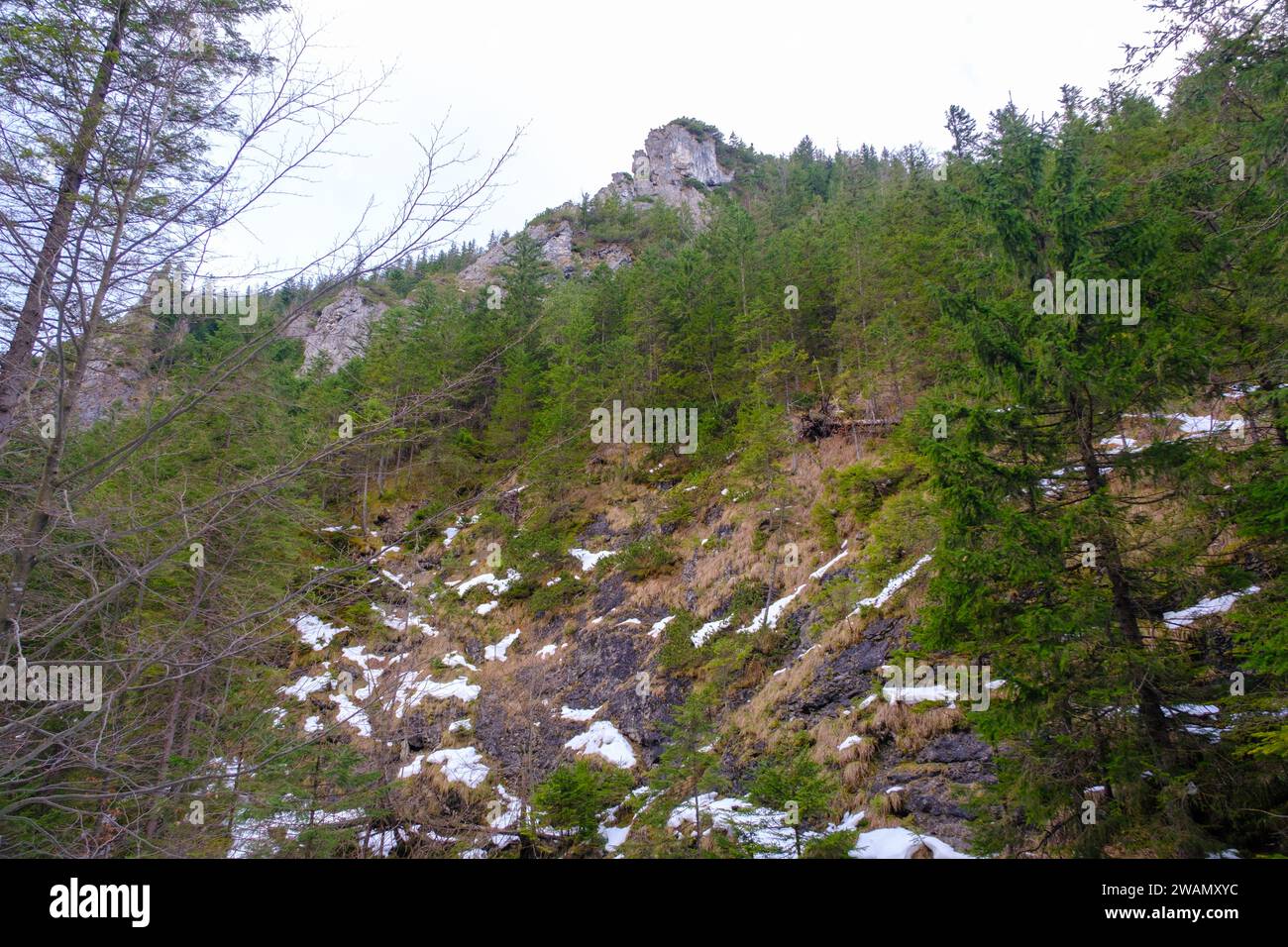 Tatra mountains. Winter view of the High Tatra Mountains. mountain ...