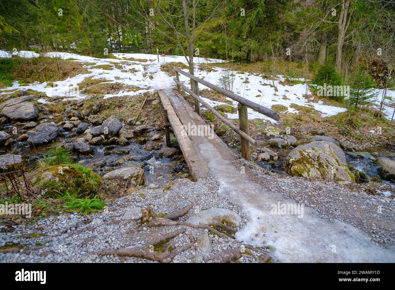 Wooden bridge over the wild mountain river in coniferous forest in ...