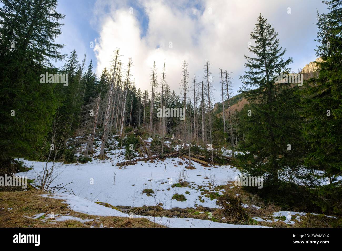Tatra mountains. Winter view of the High Tatra Mountains. mountain ...