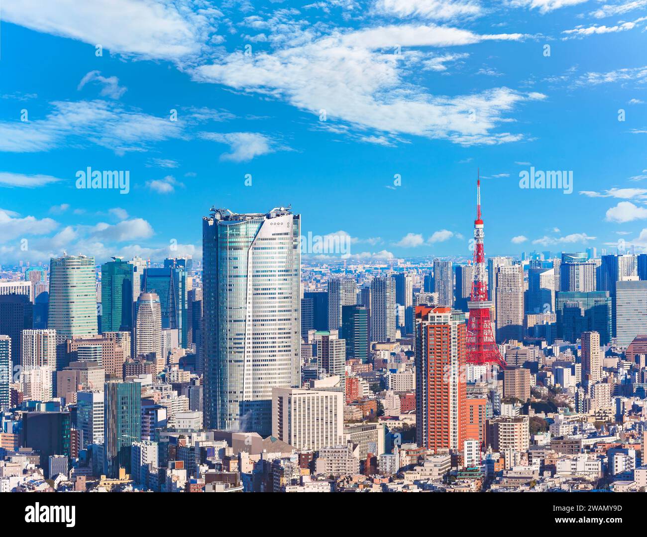 An expansive view capturing a jungle of buildings overseeing the ...