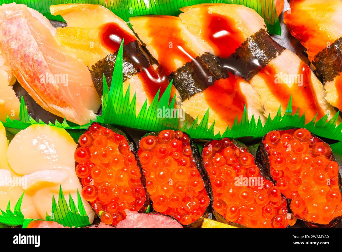 Ezo scallop hi-res stock photography and images - Alamy