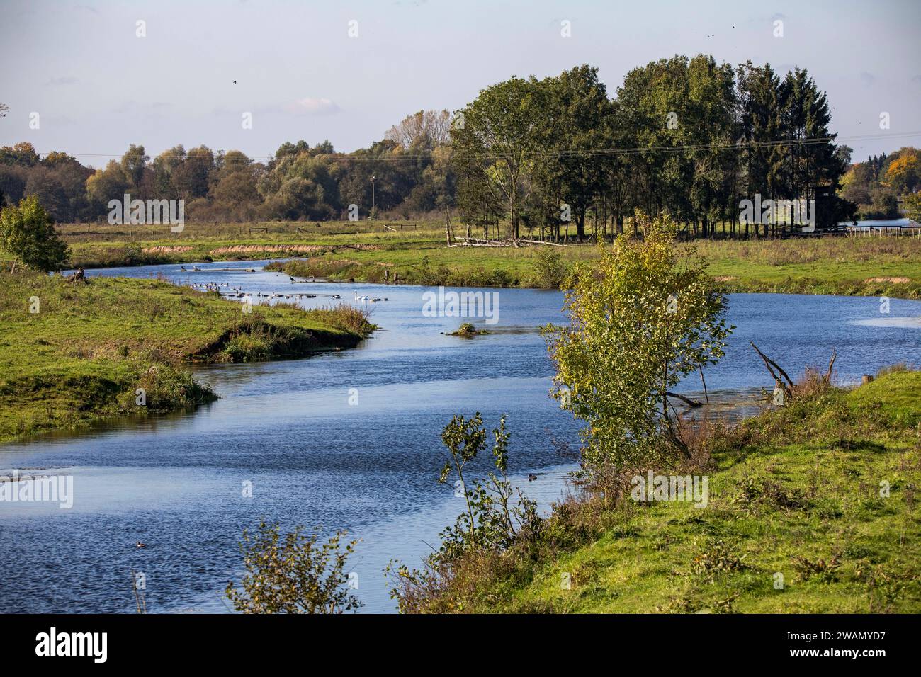 The Stever floodplain, near Olfen, River Stever, nature reserve, NRW ...