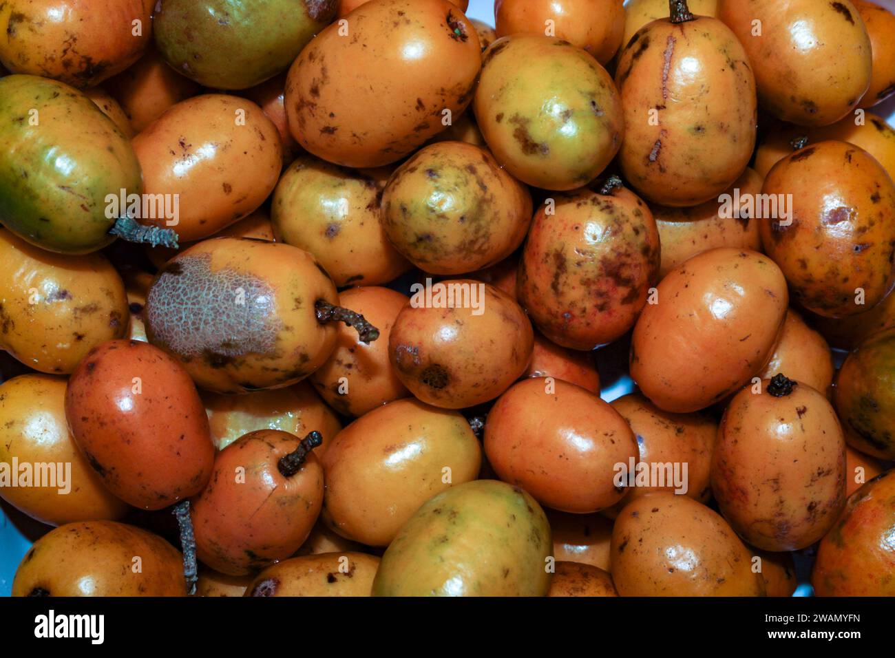 A portion of fruits from the Siriguela plant with the scientific name ...